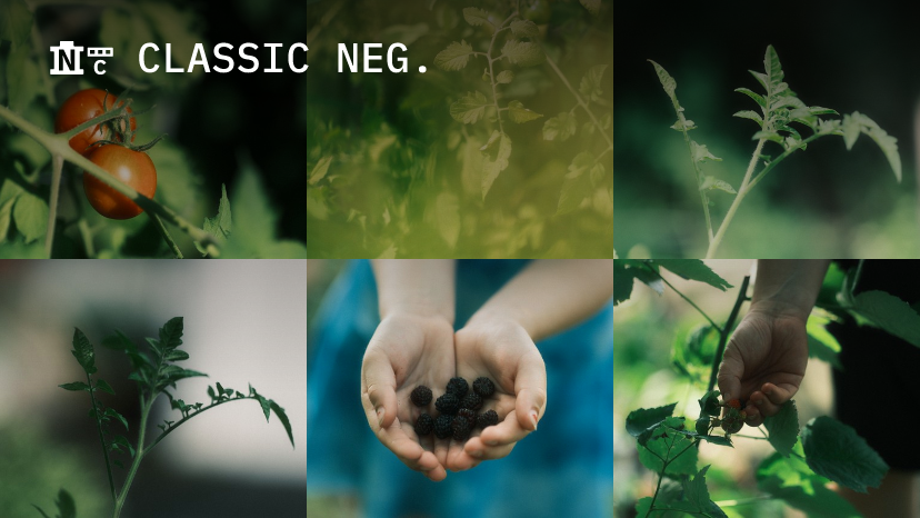 Classic Neg. (54 Photos)