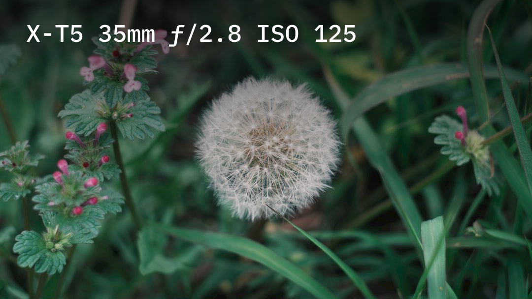 Fuzzy Orb
