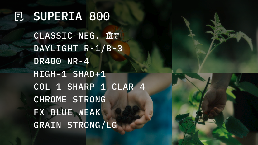 Recipe: Superia 800 (13 Photos)